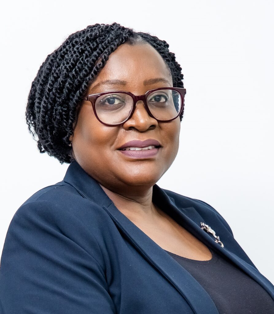 Insurance and Retirement Funds, Medical Schemes and Intermediaries Sub ...